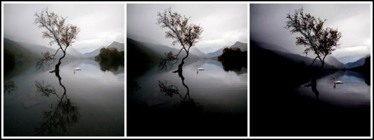 Leda and the Swan: Yeats | Rilke | Lawrence | Graves - Mara Marietta